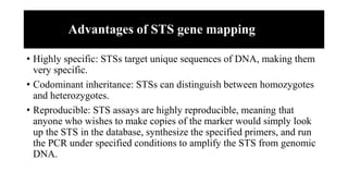 An introduction on sequence tagged site mapping | PPTX