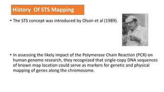An introduction on sequence tagged site mapping | PPTX