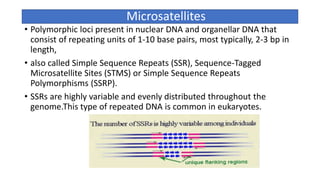 An introduction on sequence tagged site mapping | PPTX