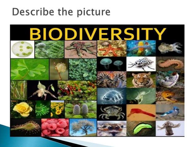 STS NEW BIODIVERSITY TODAY - General Education | PPTX | Biological Sciences | Science