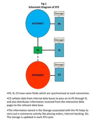 Sts presentation | PDF