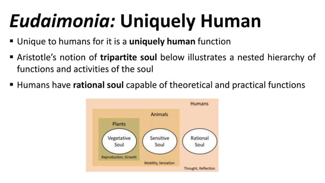 STS_Topic-5-The-Good-Life.pptx | Spirituality | Religion & Spirituality