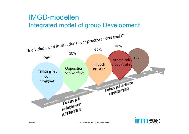 Teamdynamik med Wheelan och NÖHRA
