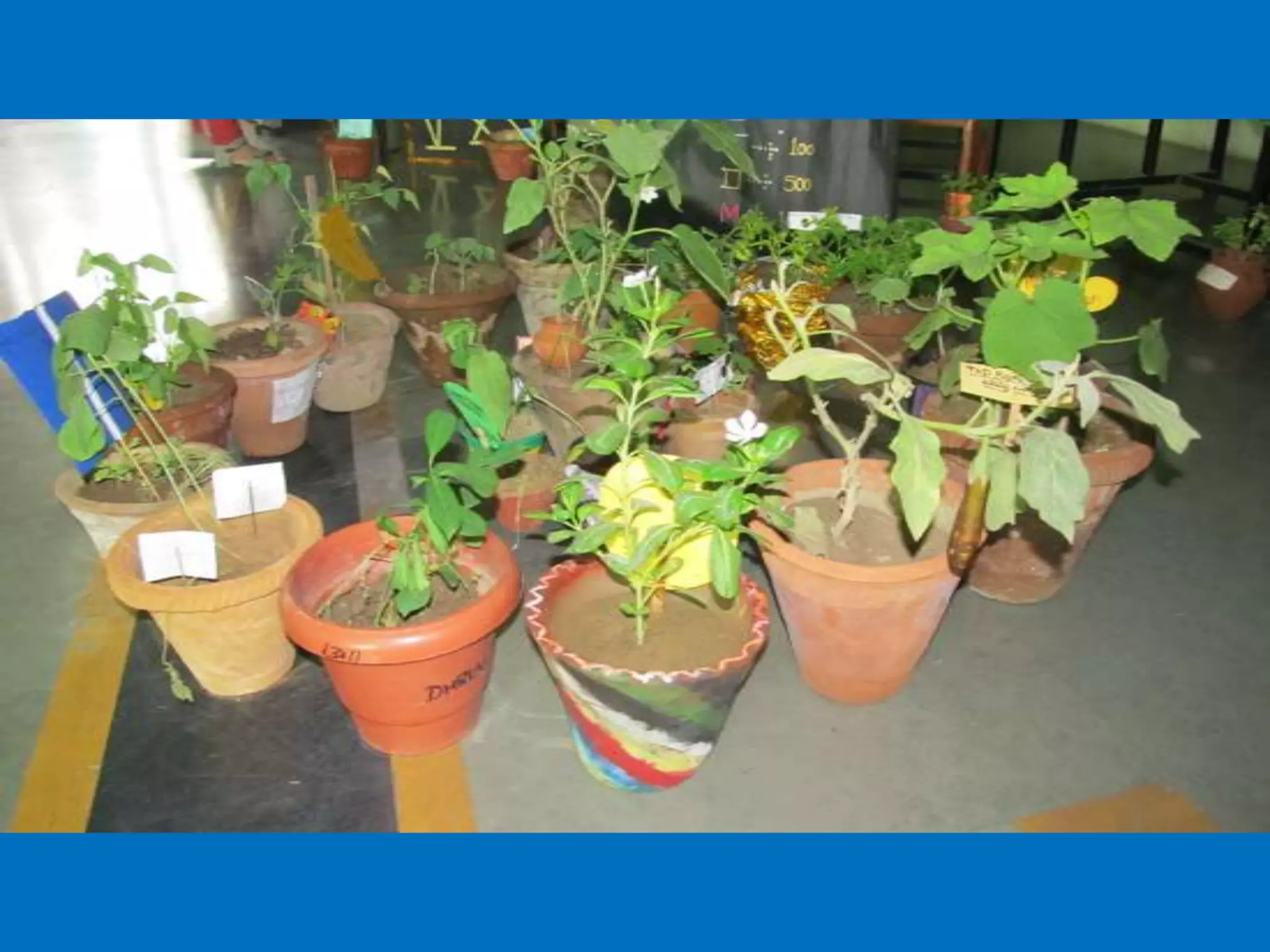 Students' contribution | PPT