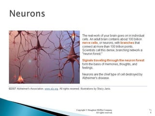 Stu 150 Ch 7 Lifelong Learning | PPT