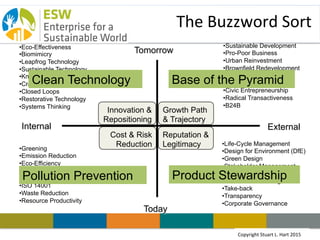 The Sustainable Value Framework | PDF