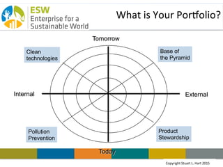 The Sustainable Value Framework | PDF