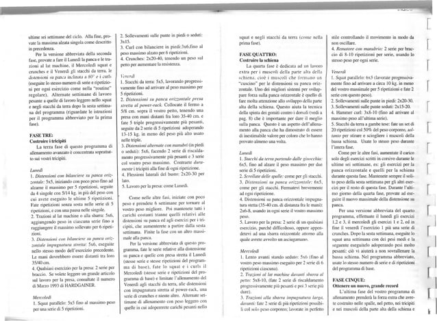 Stuart Mcrobert Big Bench | PDF