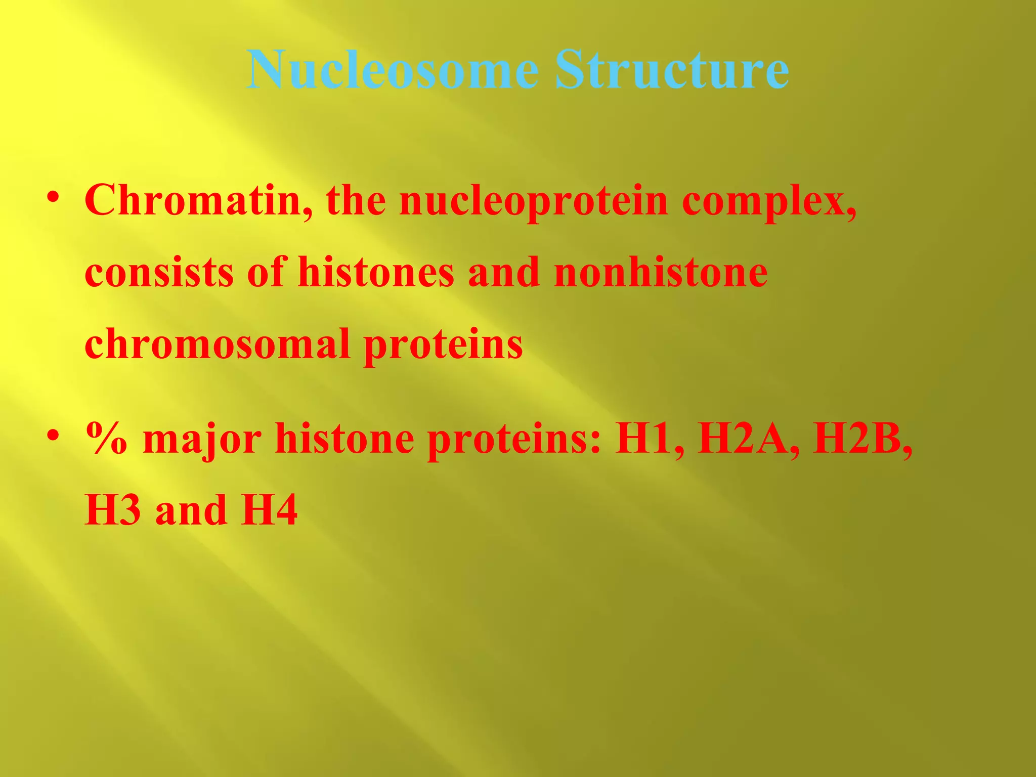 Structure Of Nucleic Acid Ppt