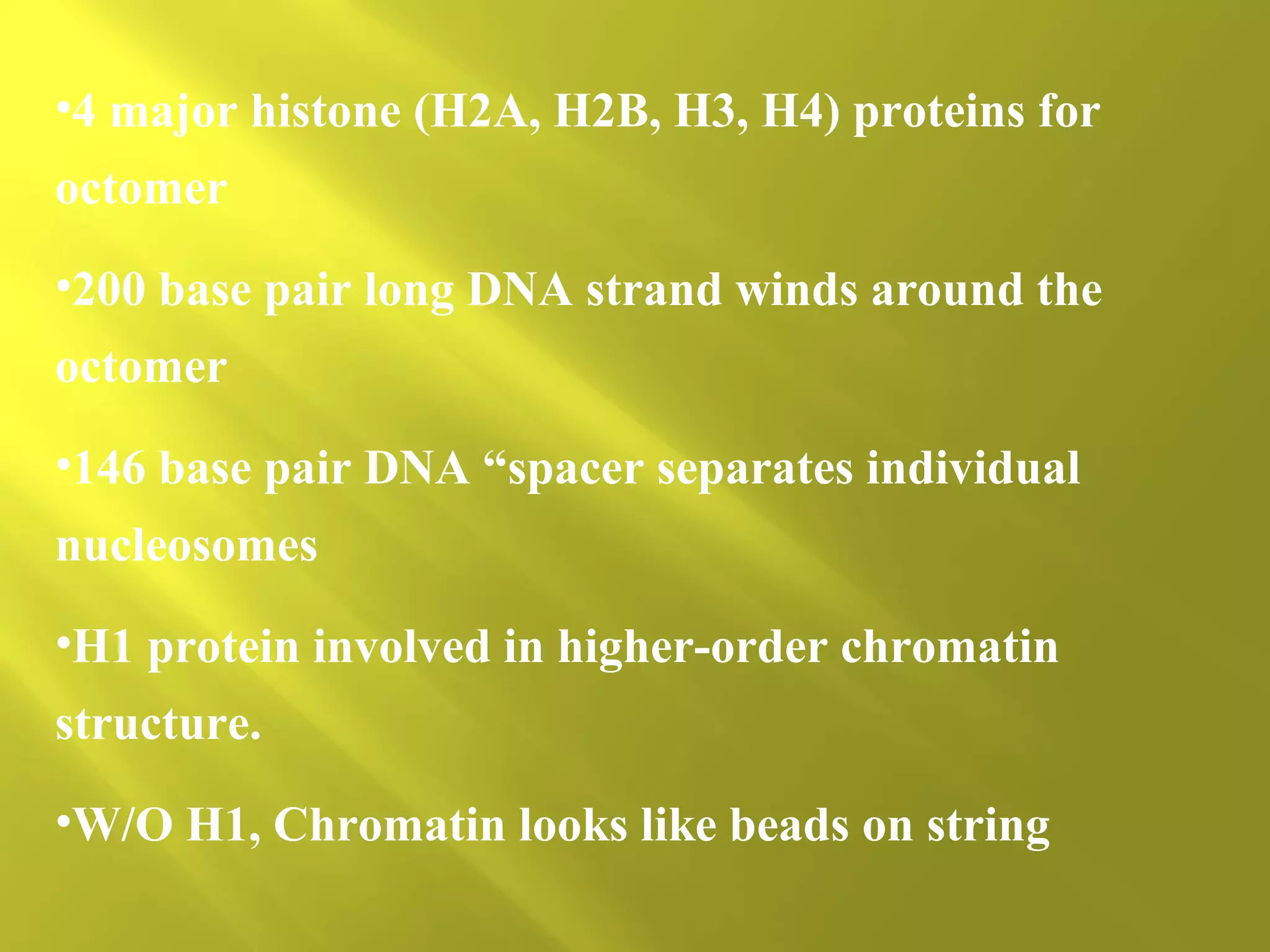 Structure of nucleic acid | PPT