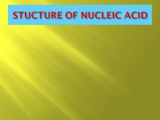 Structure of nucleic acid | PPT