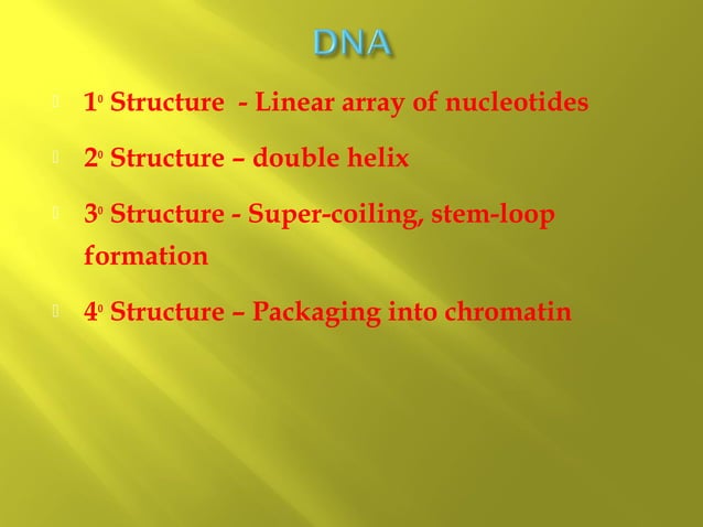 Structure of nucleic acid | PPT