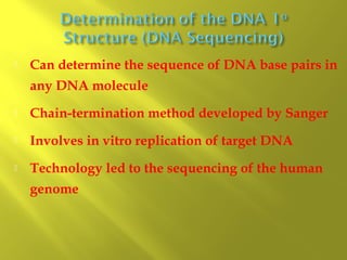 Structure of nucleic acid | PPT