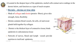 Stucture of skin relating to problems like dryskin, acne, pigmentation.pptx