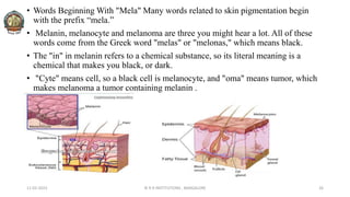 Stucture of skin relating to problems like dryskin, acne, pigmentation.pptx