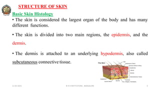 Stucture of skin relating to problems like dryskin, acne, pigmentation.pptx