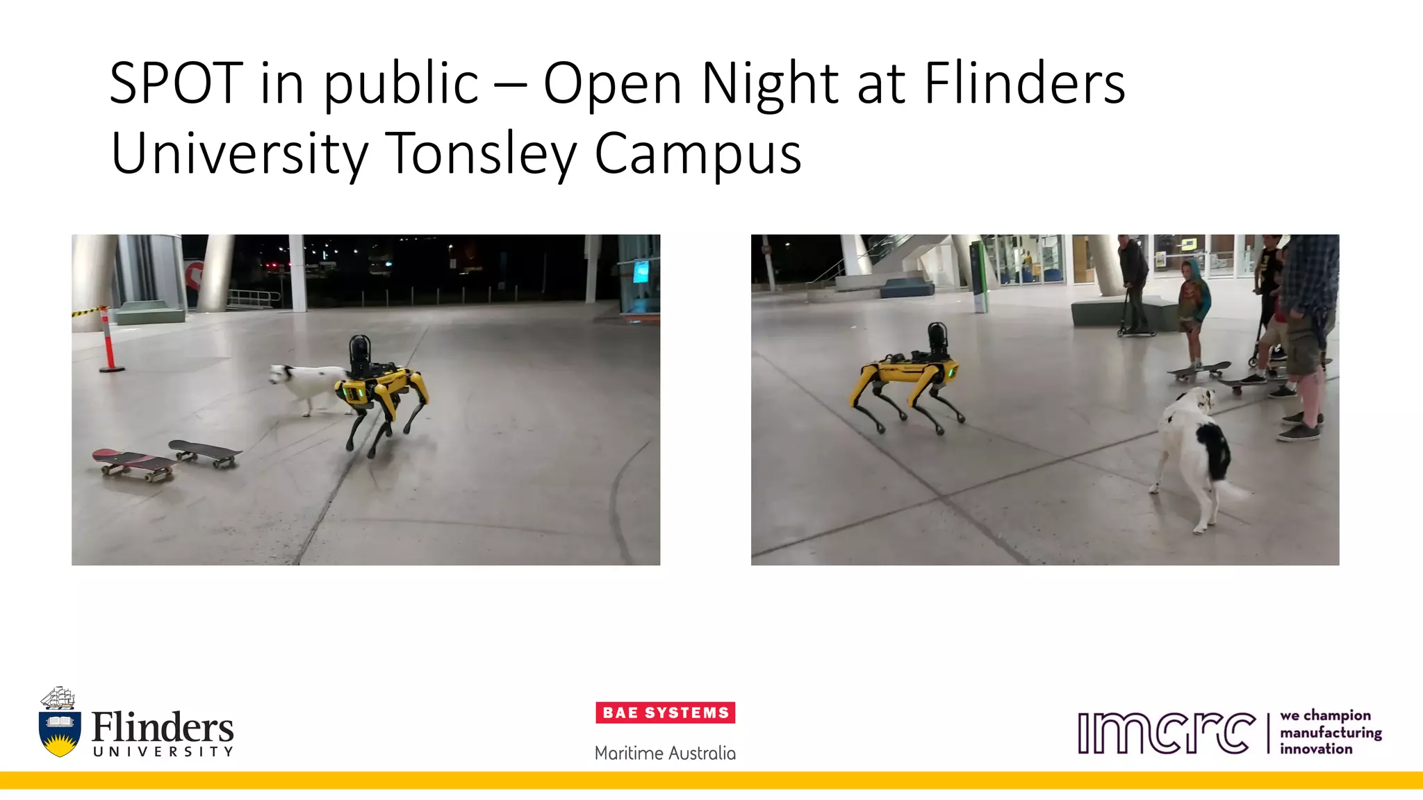 Flinders Uni - Kosa Manning - Can technology support human visual ...