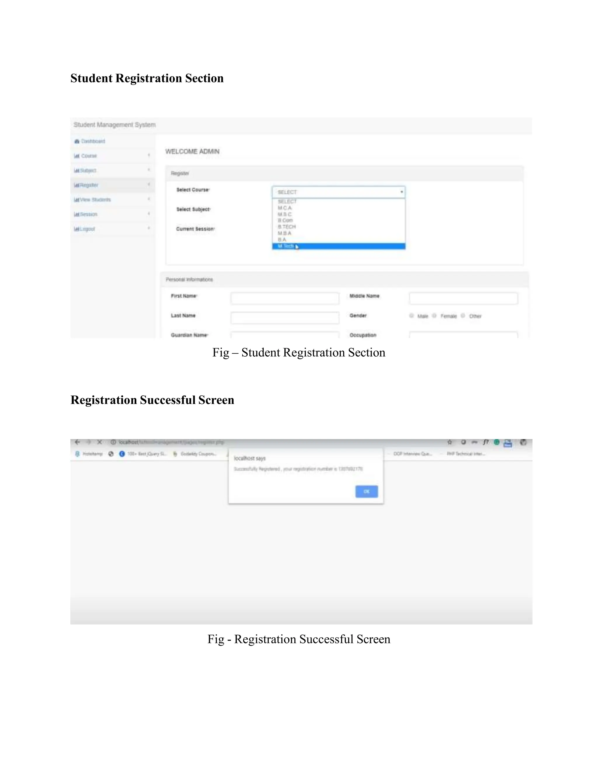 student-record-system-project-report.docx