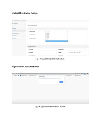 student-record-system-project-report.docx