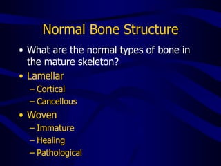 student bone metabolism orthopaedy cellular.ppt