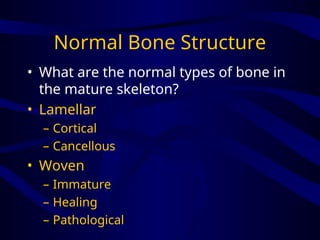 student bone metabolism orthopaedics.ppt
