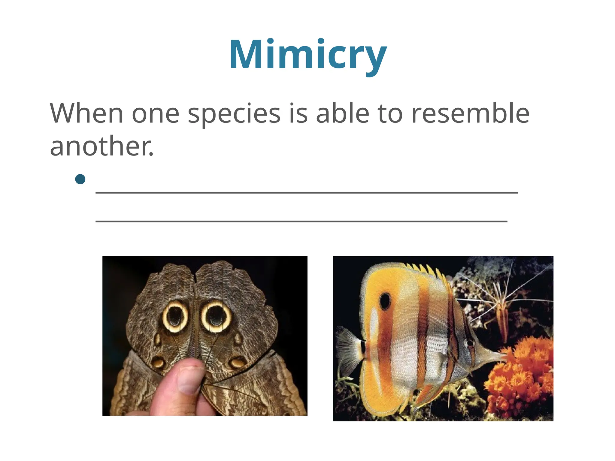 (student) evolution and natural selection.pptx