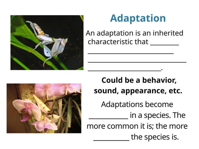 (student) evolution and natural selection.pptx