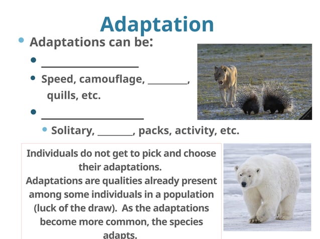 (student) evolution and natural selection.pptx