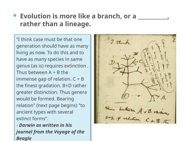 (student) evolution and natural selection.pptx