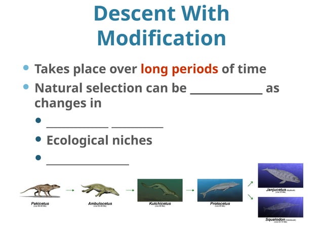 (student) evolution and natural selection.pptx