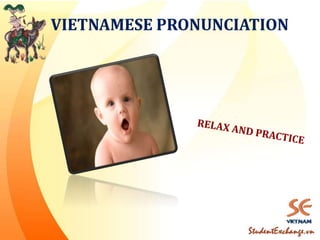 [Student exchange vietnam] Vietnamese language training | PPTX