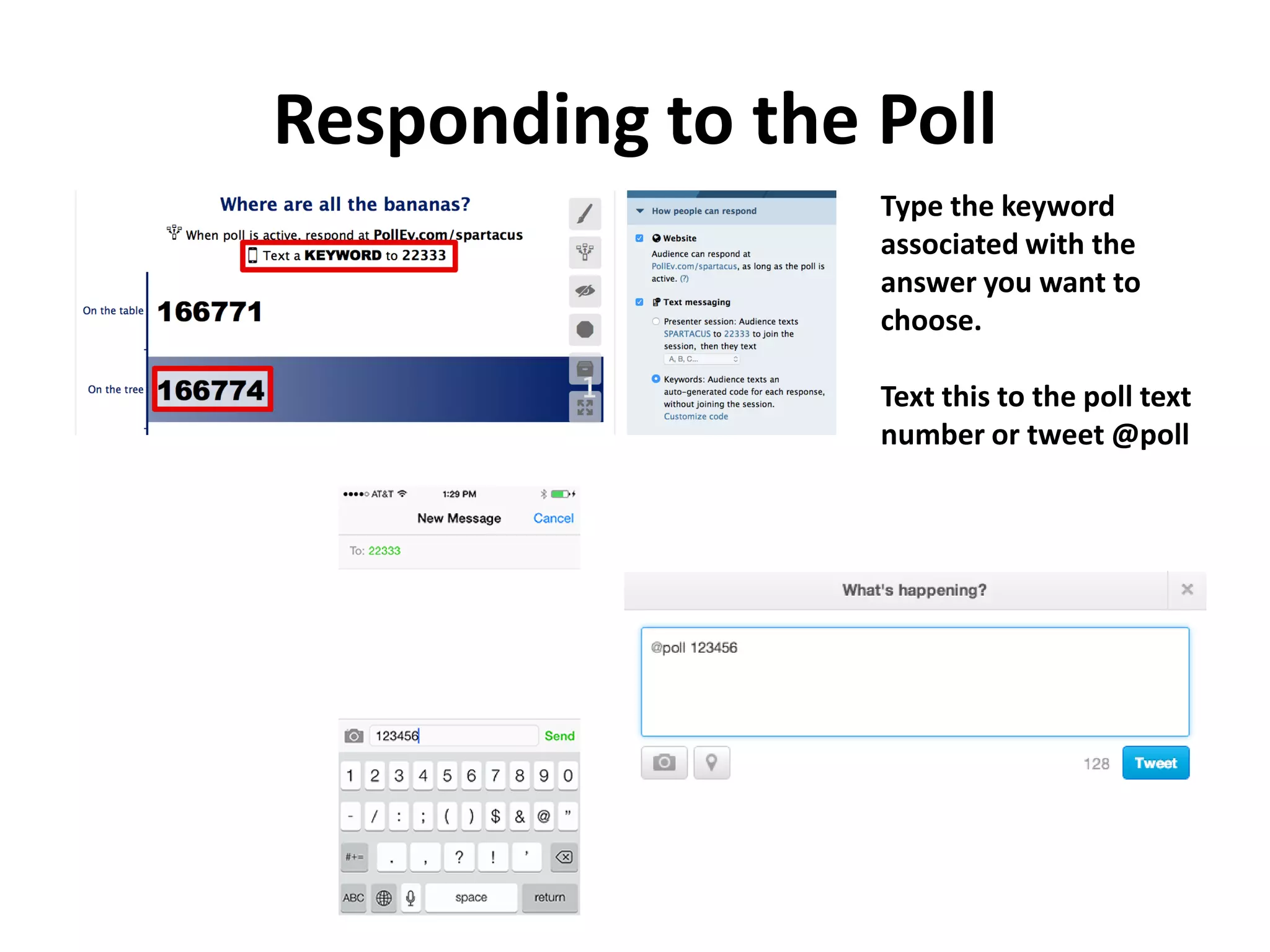 Student guide to poll everywhere | PPT