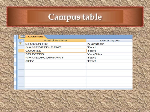 Student information system project report | PPTX | Computing | Technology & Computing