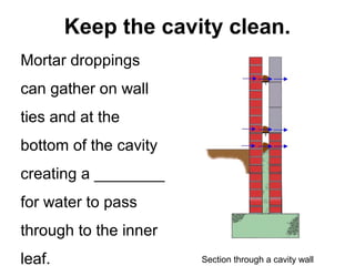 Student l1 cavity wall construction | PPT