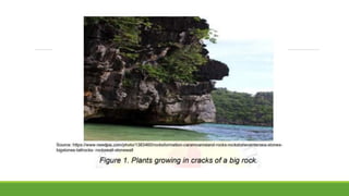 STUDENT LESSON 5 WEATHERING, EROSION & DEPOSITION.pdf