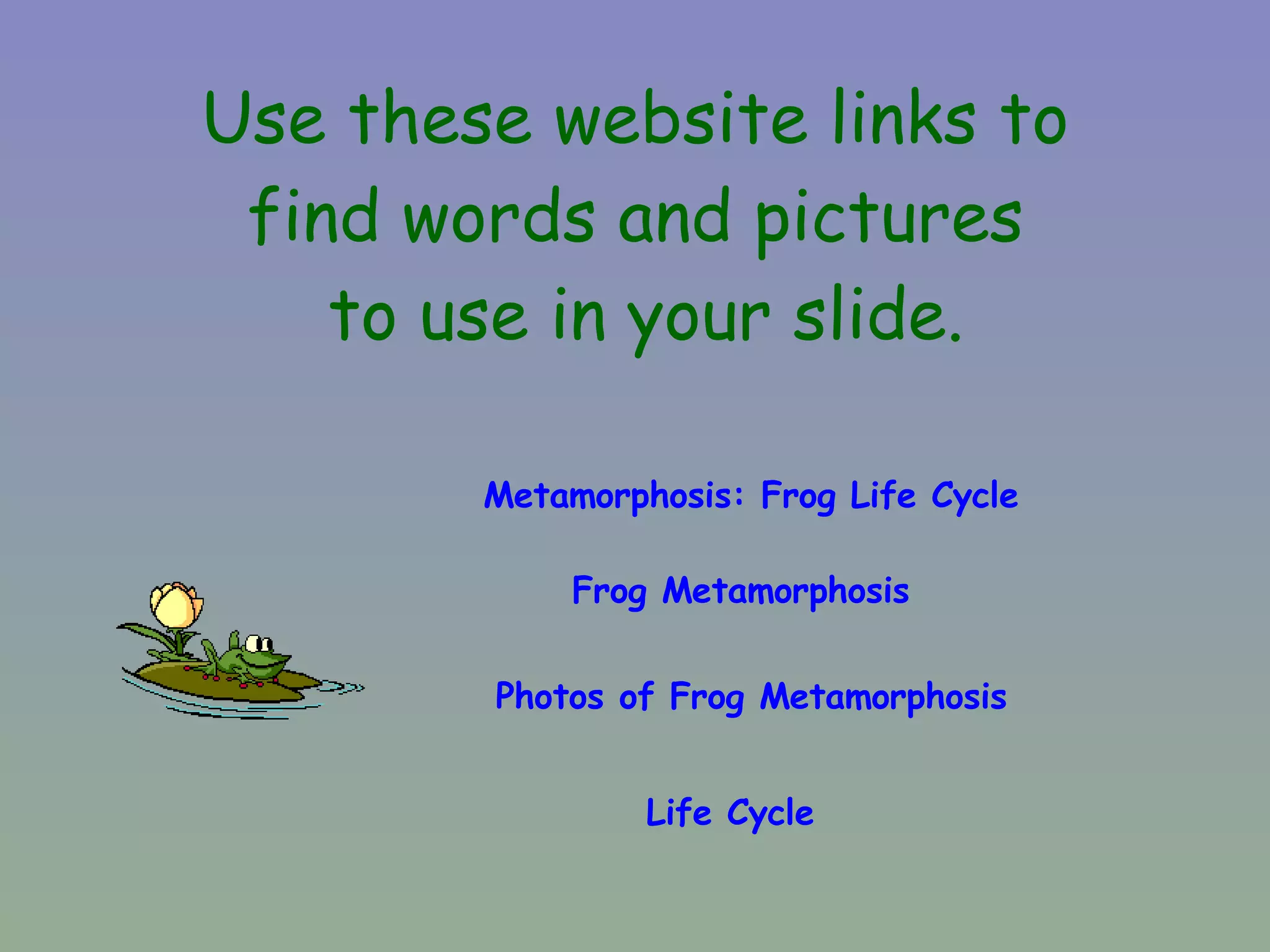 Student Metamorphosis Power Point | PPT