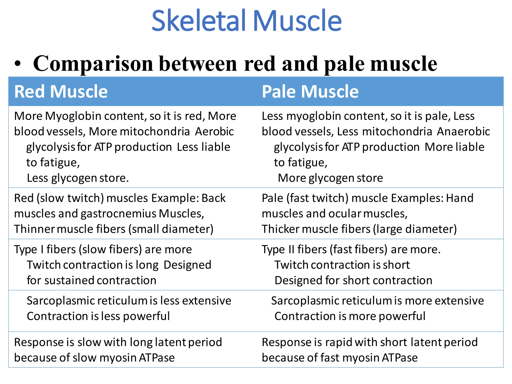 Student Muscle Physiology.pdf1234567890-098 | PDF