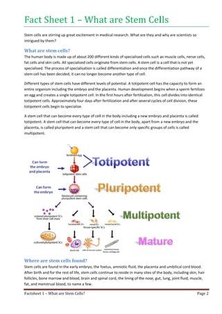 Stem Cell Student pack master | PDF