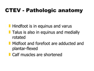 student+paediatric+ortho | PPT