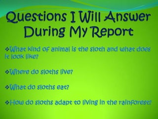 Student powerpoint my rainforest animal presentation 1 | PPTX