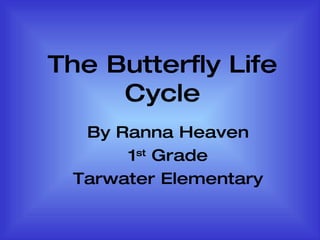 Student Powerpoint Butterflies | PPT