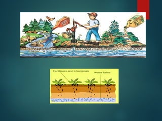 student ppt water pollution for education.ppt