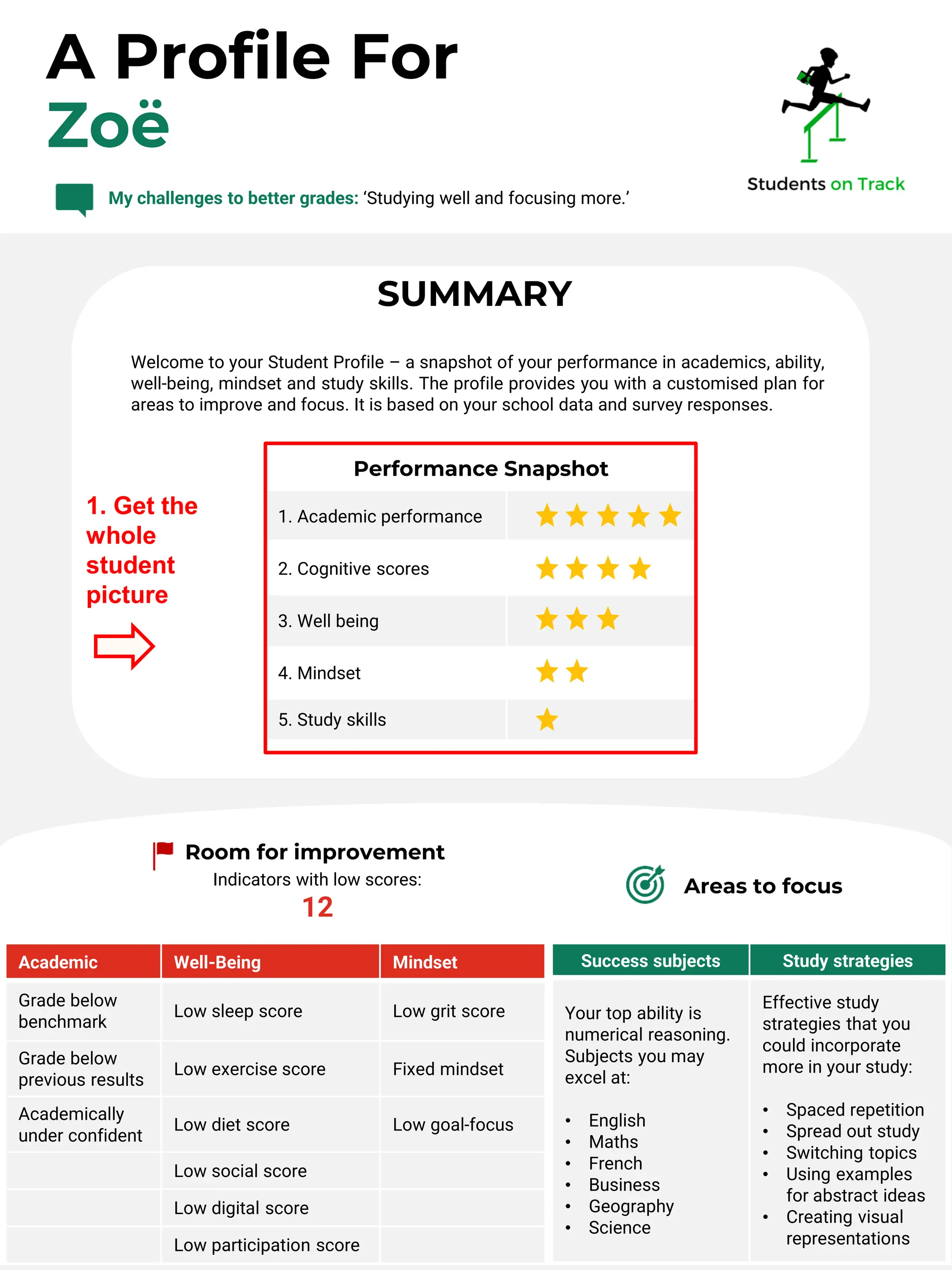 Student Profile Sample - improving academic performance | PDF