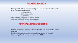 Student ready program | PPTX