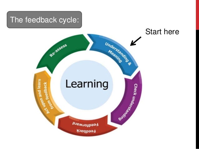 Student response to feedback