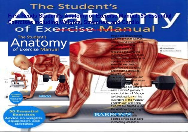 The Anatomy Of Exercise