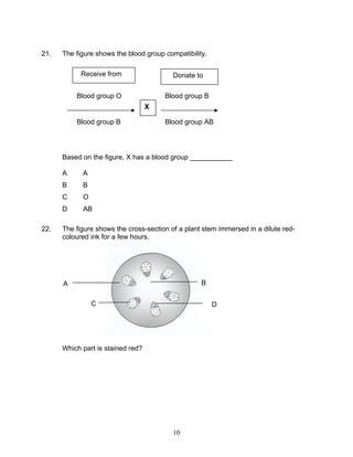 Module 2 blood circulations PMR | PDF