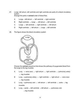 Module 2 blood circulations PMR | PDF