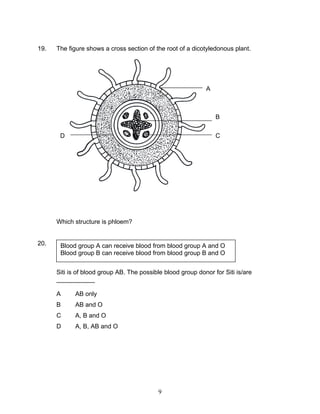Module 2 blood circulations PMR | PDF