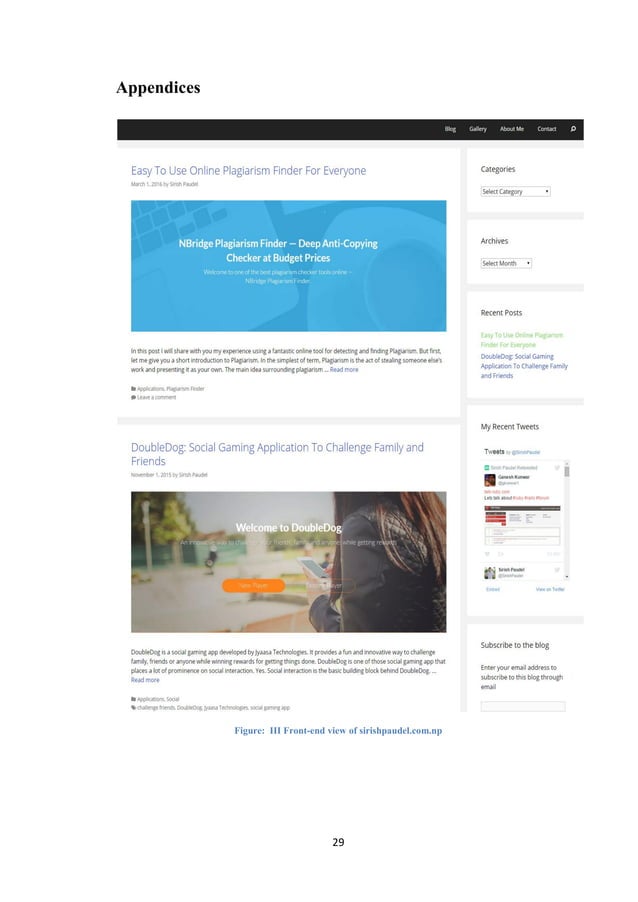 BSC CSIT Final Year Internship Experience Report on SEO | PDF